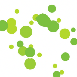 Green (Pigment) Color, Meaning, And History – Custom Paint By Numbers