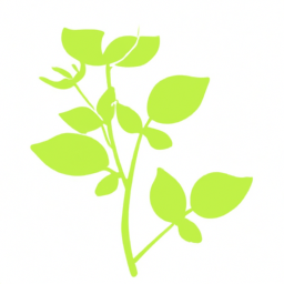 June Bud Color, Meaning, And History – Custom Paint By Numbers