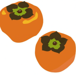 Persimmon Color, Meaning, And History – Custom Paint By Numbers