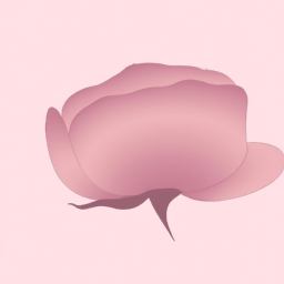 Rose Vale Color, Meaning, And History – Custom Paint By Numbers