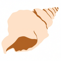 Seashell Color, Meaning, And History – Custom Paint By Numbers