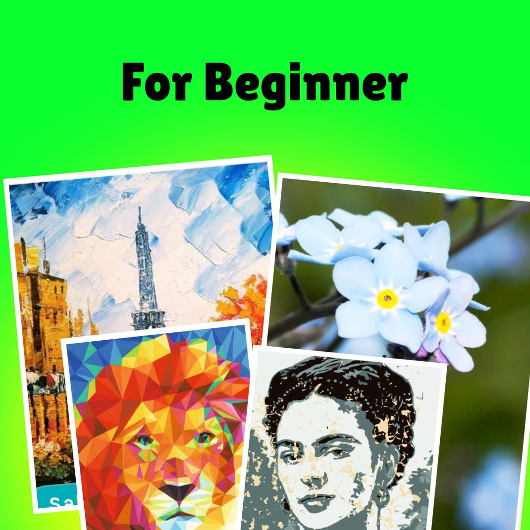 Beginner Paint By Number Kits – Custom Paint By Numbers