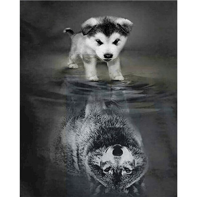 Paint By Numbers | Baby Siberian Husky Reflection – Custom Paint By Numbers
